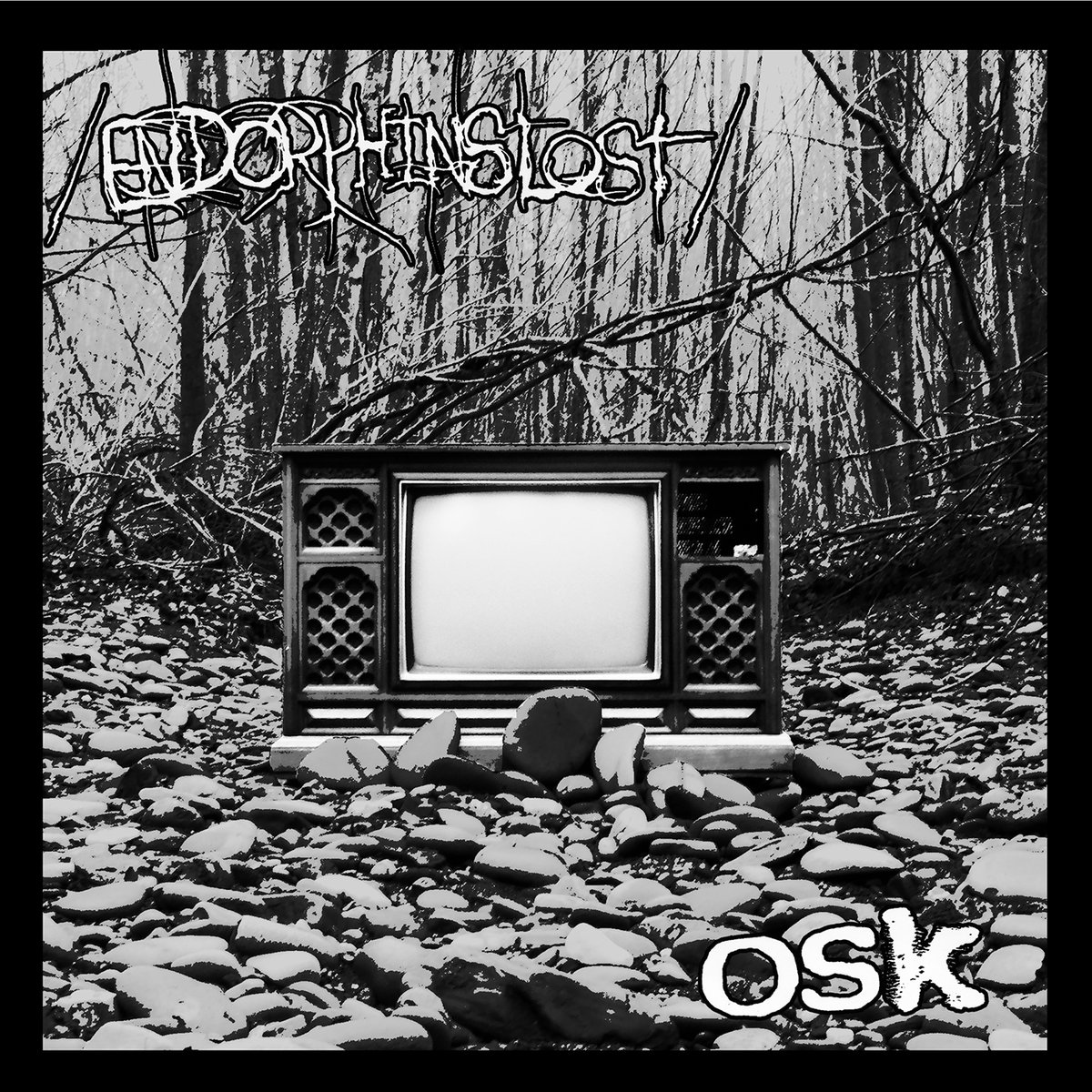 ENDORPHINS LOST: Seattle Powerviolence Act To Release Split 7″ with OSK; Band Announces March ...