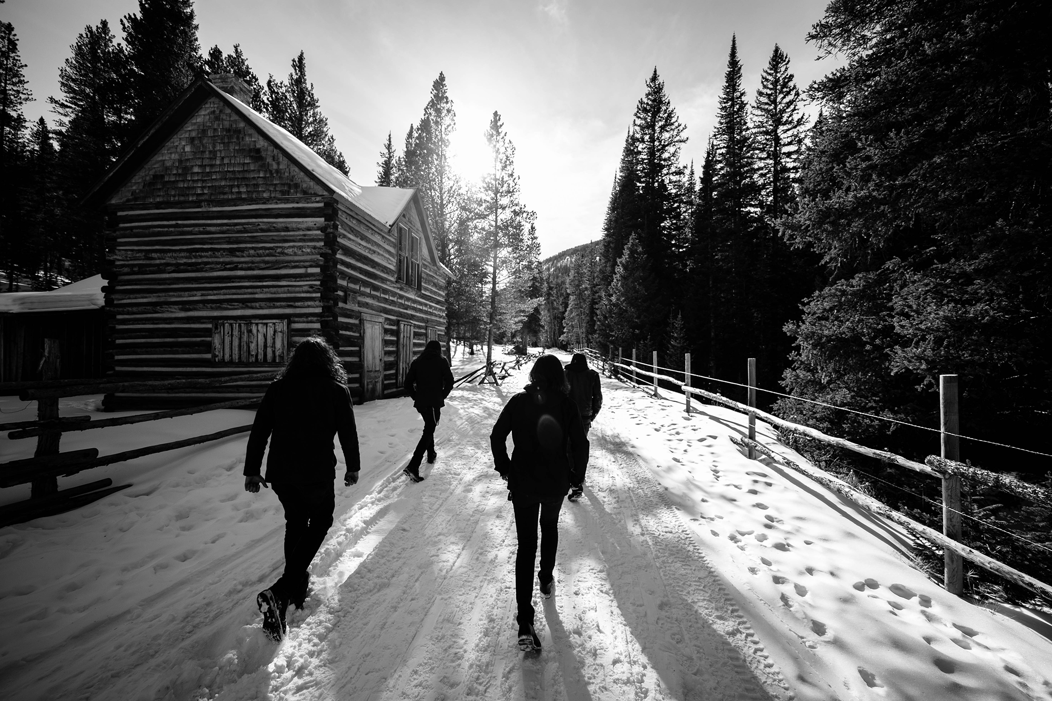 WAYFARER: Revolver Magazine Premieres “Animal Crown” From World’s Blood ...