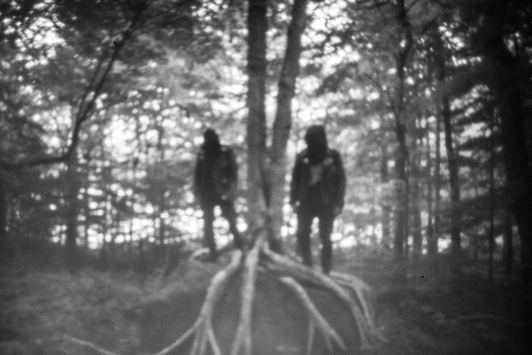 BOG BODY: New York City Cult Black Metal Duo Issues “Dregs Soar To The ...