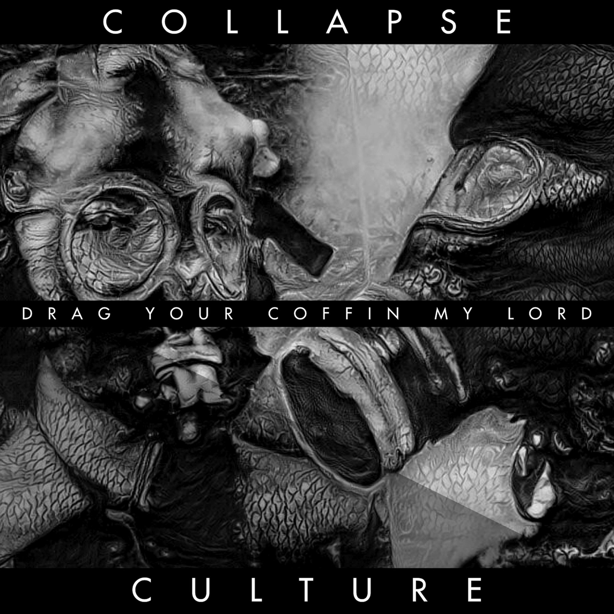 COLLAPSE CULTURE: New Noise Magazine Premieres “Room 641A (Ecology Of ...